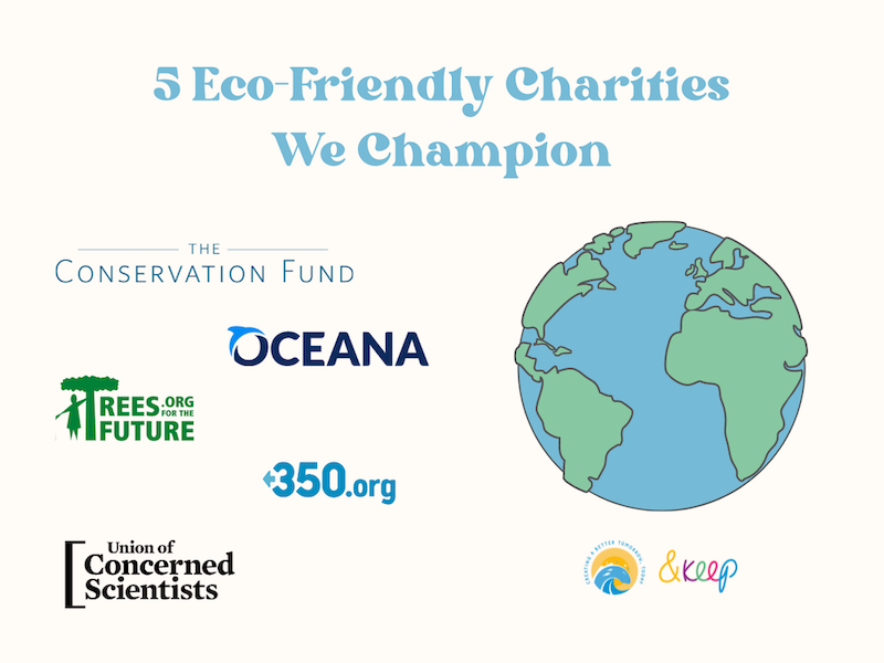 5 Amazing Eco-Friendly Charities Championing Sustainability | &Keep
