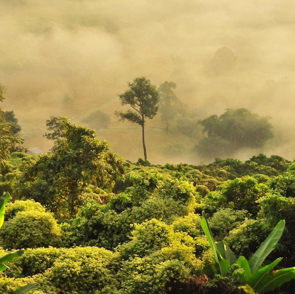 The Naked Truth: Why killing nature will kill us Blog | &Keep
