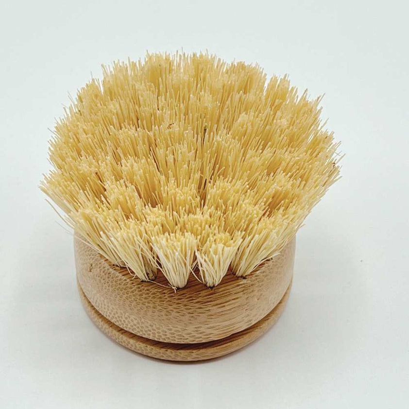 &Keep Replacement Dish Brush Head Plant Bristles Medium Stiff | &Keep