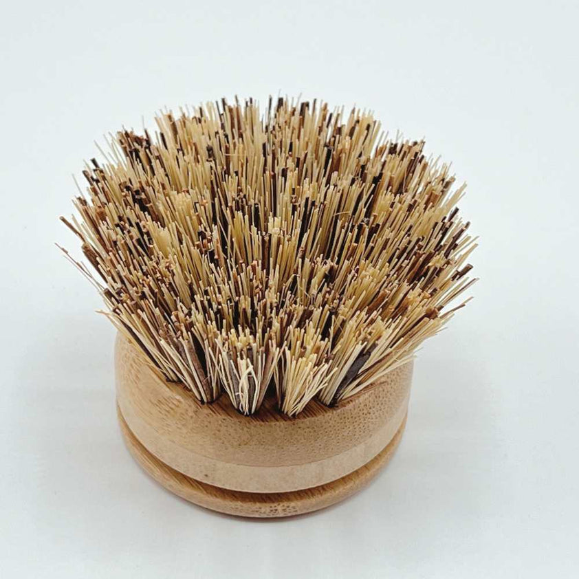 &Keep Replacement Dish Brush Head Plant Bristles Medium Stiff | &Keep