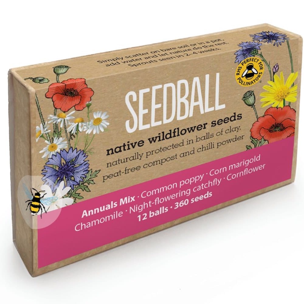 Seedball Wildflower Mixes Large Gift Boxes UK Native Gifting | &Keep