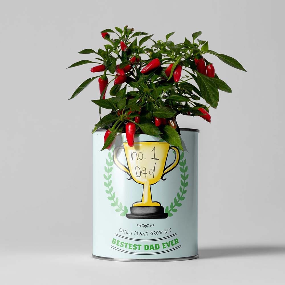 Number One Dad Chilli Growing Kit by The Plant Gift Co. Eco | &Keep