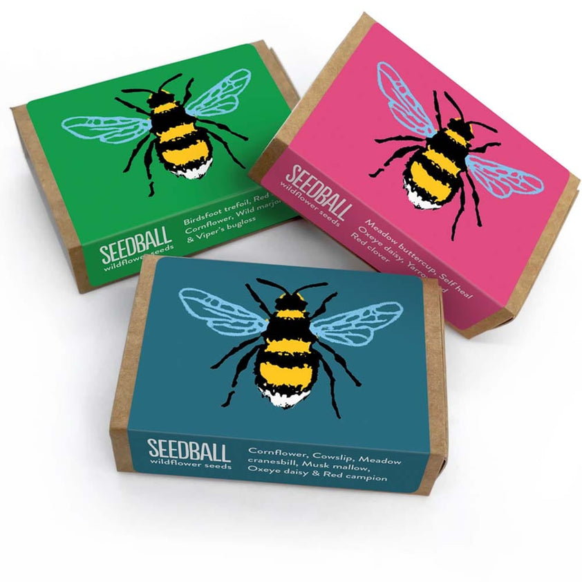 Wildflower Seedball Boxes UK Native Mix Pollinators No Digging | &Keep