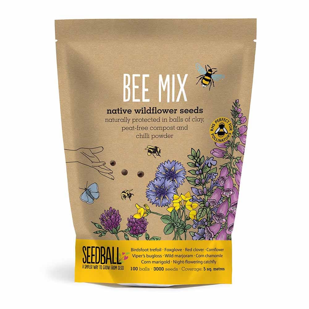 Seedball Wildflower Grab Bag Bee Mix Pollinators UK Native | &Keep