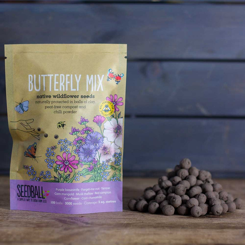 Seedball Wildflower Grab Bag Butterly Mix Pollinator UK Native | &Keep