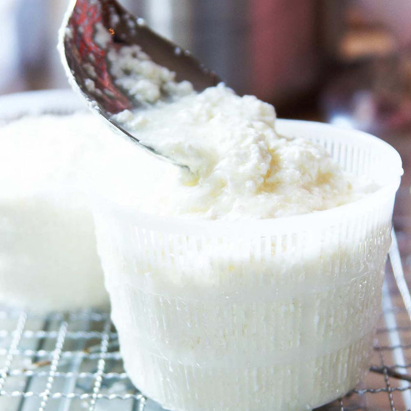 The Ultimate Cheese Making Kit by the Big Cheese Making Kit | &Keep
